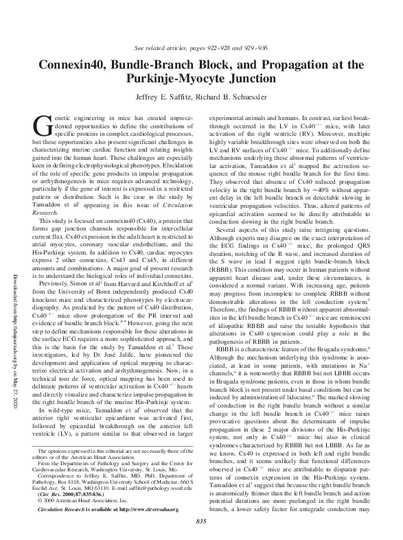 (PDF) Connexin-40, Bundle-Branch Block, and Propagation at the Purkinje ...