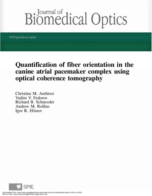 (PDF) Quantification of fiber orientation in the canine atrial pacemaker complex using optical ...