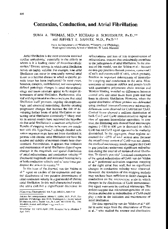 (PDF) Connexins, Conduction, and Atrial Fibrillation