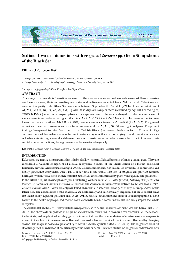 (PDF) Sediment-water interactions with eelgrass (Zostera spp.) from ...