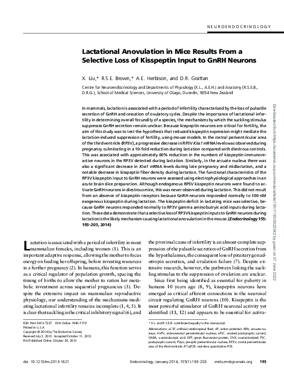 (PDF) Lactational Anovulation in Mice Results From a Selective Loss of ...