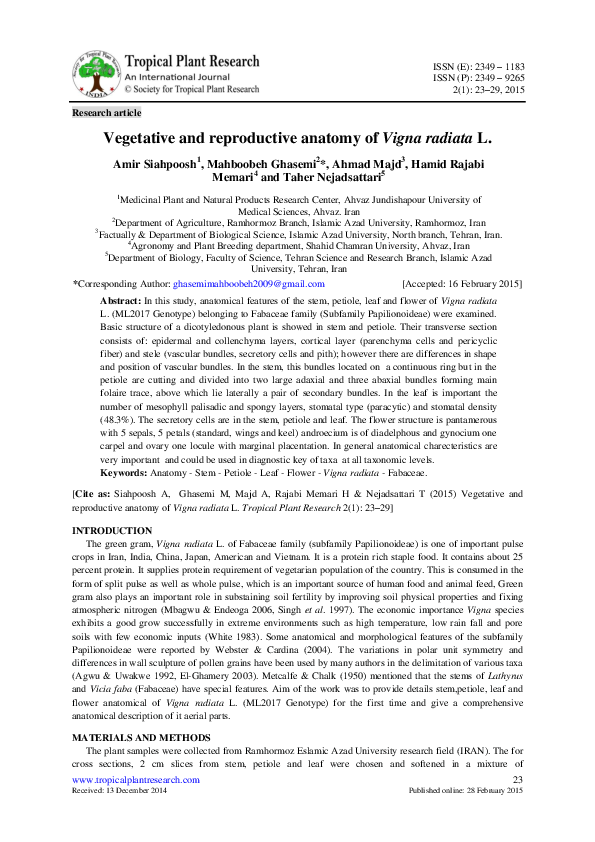 (PDF) Vegetative and reproductive anatomy of Vigna radiata L