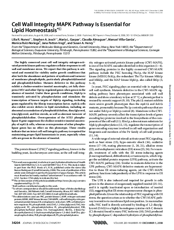 (PDF) Cell Wall Integrity MAPK Pathway Is Essential for Lipid Homeostasis