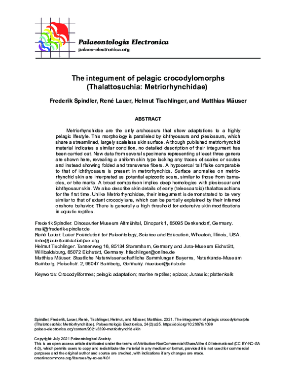 (PDF) The integument of pelagic crocodylomorphs (Thalattosuchia ...