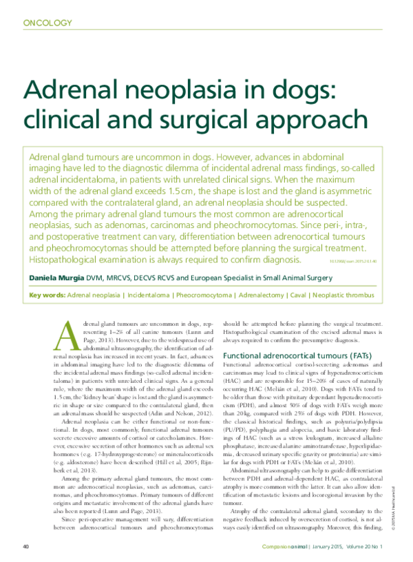 (PDF) Adrenal neoplasia in dogs: clinical and surgical approach