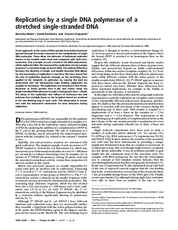 (PDF) Replication by a single DNA polymerase of a stretched single ...