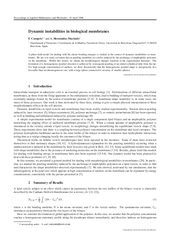 (PDF) Dynamic instabilities in biological membranes