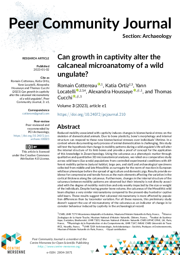 (PDF) Can growth in captivity alter the calcaneal microanatomy of a ...