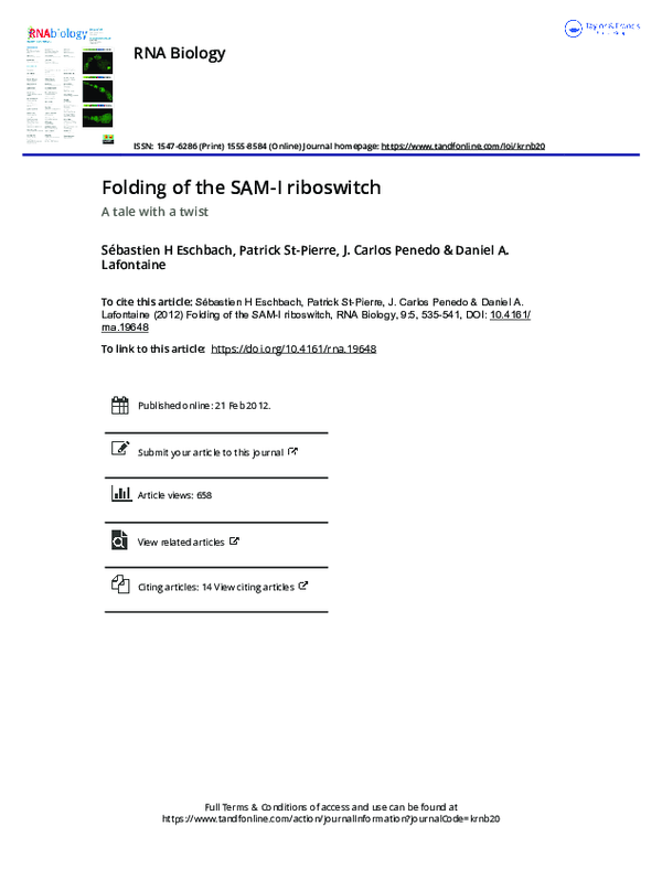 (PDF) Folding of the SAM-I riboswitch
