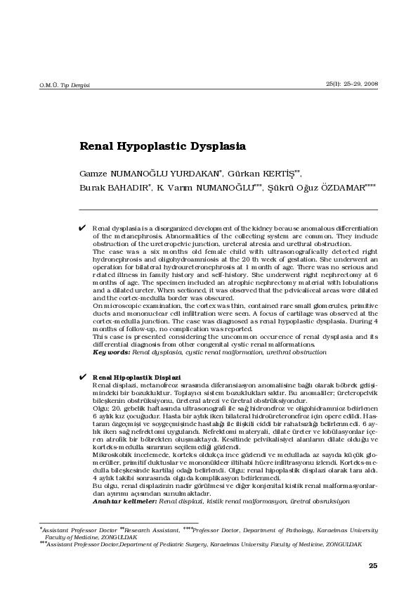 (PDF) Renal Hypoplastic Dysplasia