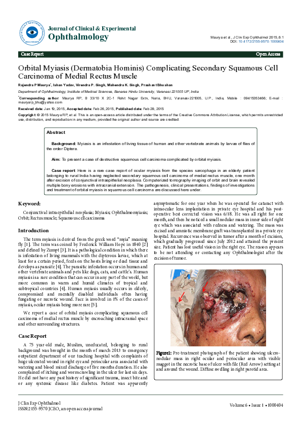 (PDF) Orbital Myiasis (Dermatobia Hominis)Complicating Secondary ...