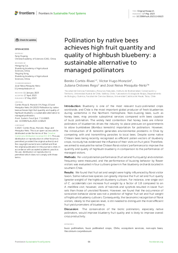 (PDF) Pollination by native bees achieves high fruit quantity and quality of highbush blueberry ...