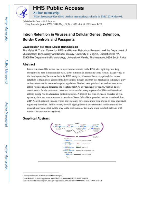 (PDF) Intron retention in viruses and cellular genes: Detention, border ...
