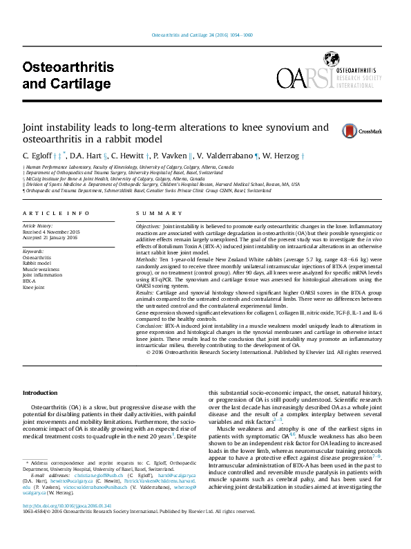 (PDF) Joint Instability leads to Long-term Alterations to Knee Synovium ...