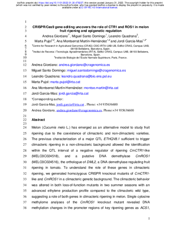 (PDF) CRISPR/Cas9 gene editing uncovers the role of CTR1 and ROS1 in melon fruit ripening and ...