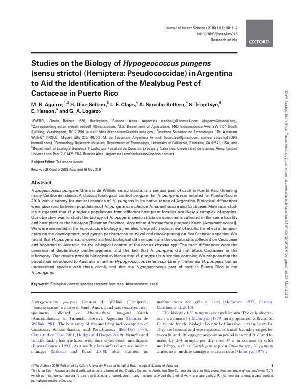 (PDF) Studies on the Biology of Hypogeococcus pungens (sensu stricto ...