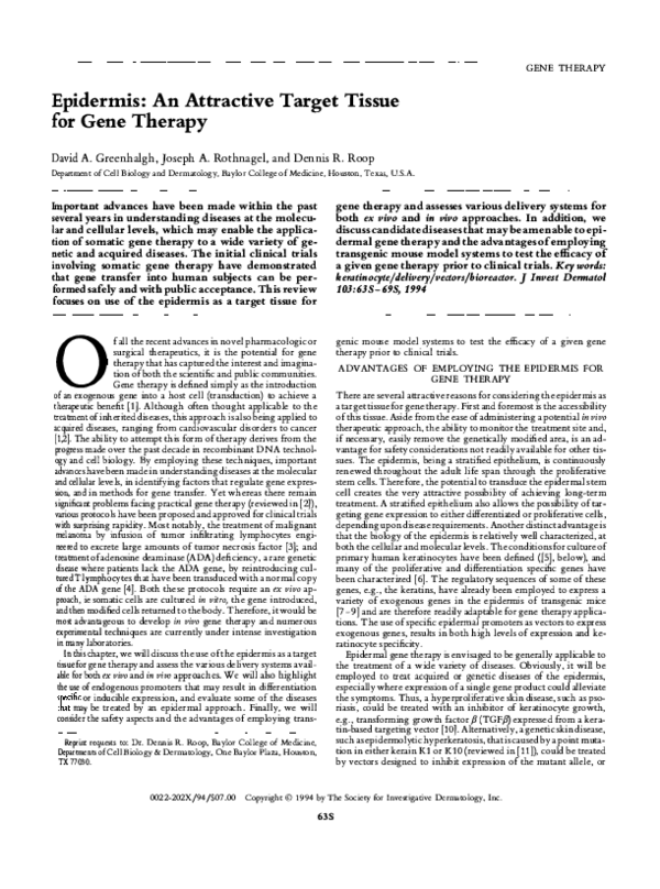 (PDF) Epidermis: An Attractive Target Tissue for Gene Therapy | Dennis ...
