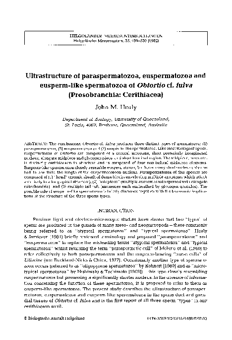 (PDF) Ultrastructure of paraspermatozoa, euspermatozoa and eusperm-like spermatozoa ofObtortio ...