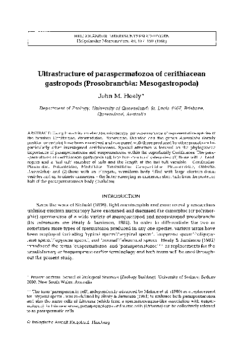 (PDF) Ultrastructure of paraspermatozoa of cerithiacean gastropods ...