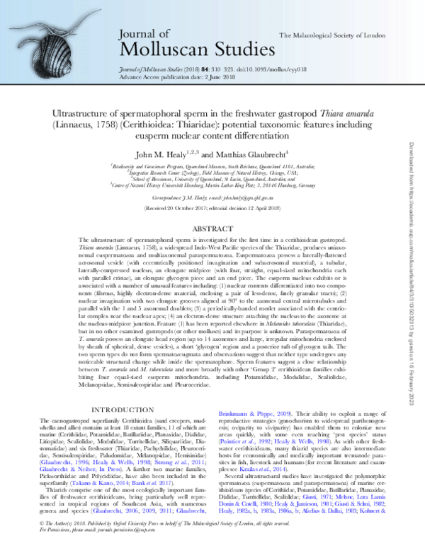 (PDF) Ultrastructure of spermatophoral sperm in the freshwater ...