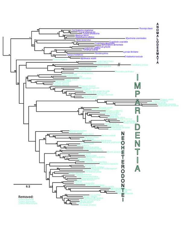 (PDF) A family-level Tree of Life for bivalves based on a Sanger ...