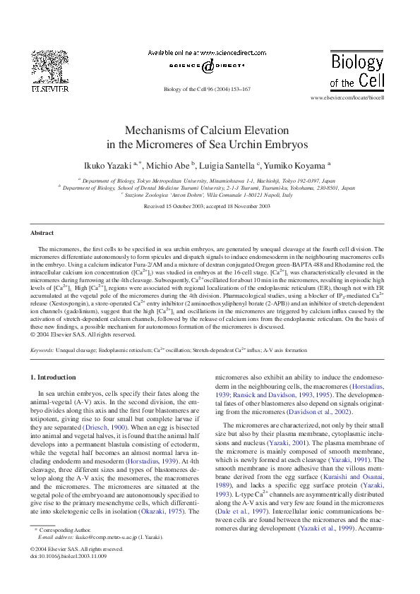 (PDF) Mechanisms of Calcium Elevation in the Micromeres of Sea Urchin ...