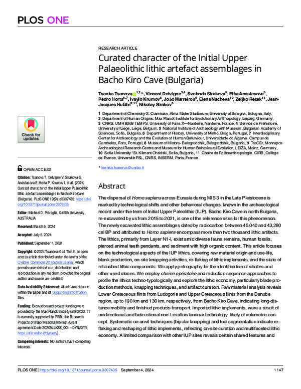 (PDF) Curated character of the Initial Upper Palaeolithic lithic ...