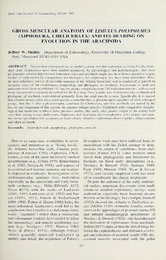 (PDF) Gross Muscular Anatomy of Limulus Polyphemus (Xiphosura ...