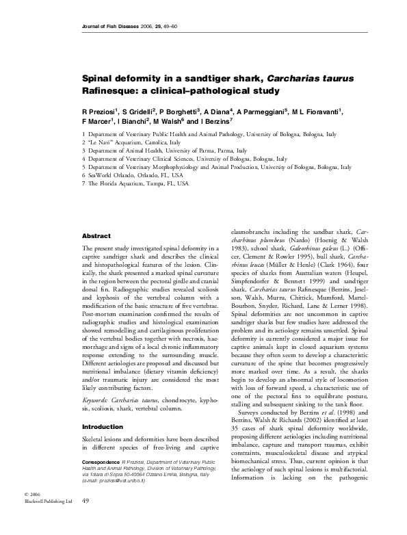 (PDF) Spinal deformity in a sandtiger shark, Carcharias taurus ...