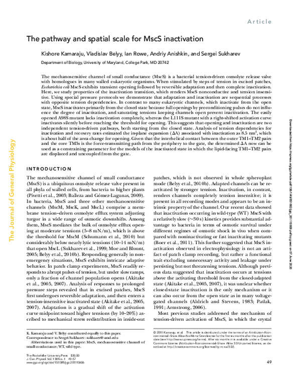 (PDF) The pathway and spatial scale for MscS inactivation