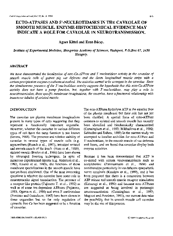 (PDF) Ecto‐ATPases and 5′‐nucleotidases in the caveolae of smooth ...