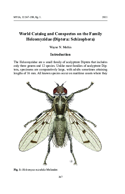 (PDF) World Catalog and Conspectus on the Family Helcomyzidae (Diptera ...