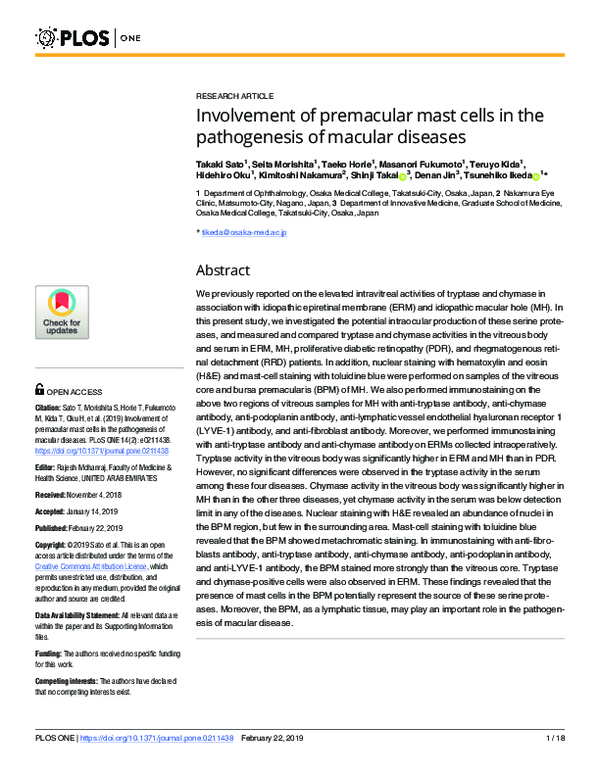 (PDF) Involvement of premacular mast cells in the pathogenesis of ...