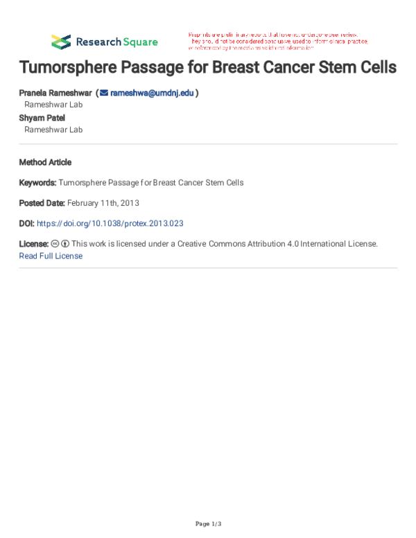 (PDF) Tumorsphere Passage for Breast Cancer Stem Cells