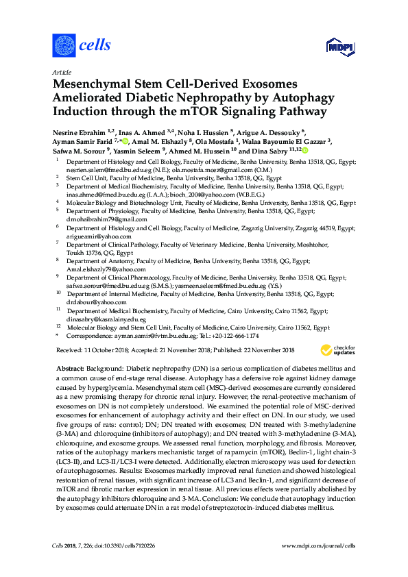 (PDF) Mesenchymal Stem Cell-Derived Exosomes Ameliorated Diabetic Nephropathy by Autophagy ...