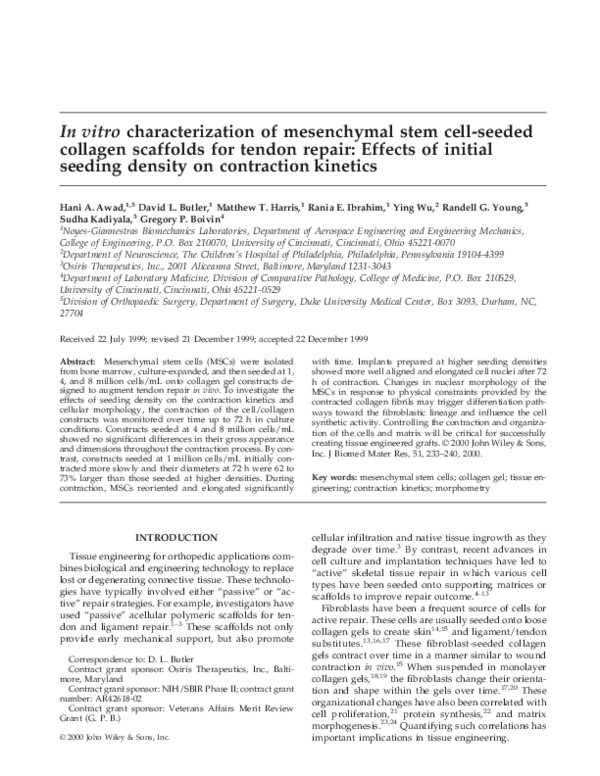 (PDF) In vitro characterization of mesenchymal stem cell-seeded ...
