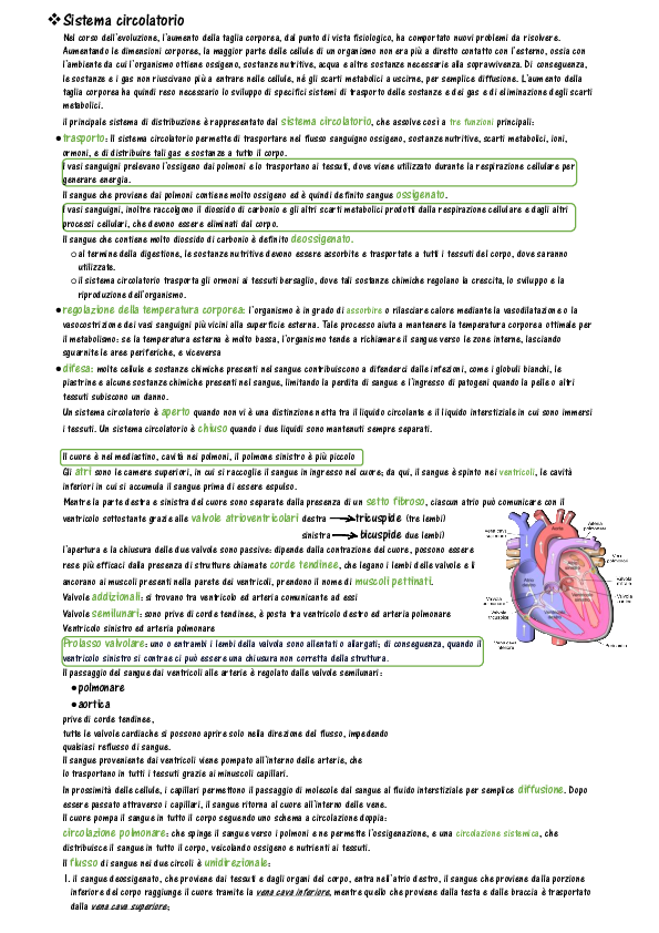 (PDF) Il cuore