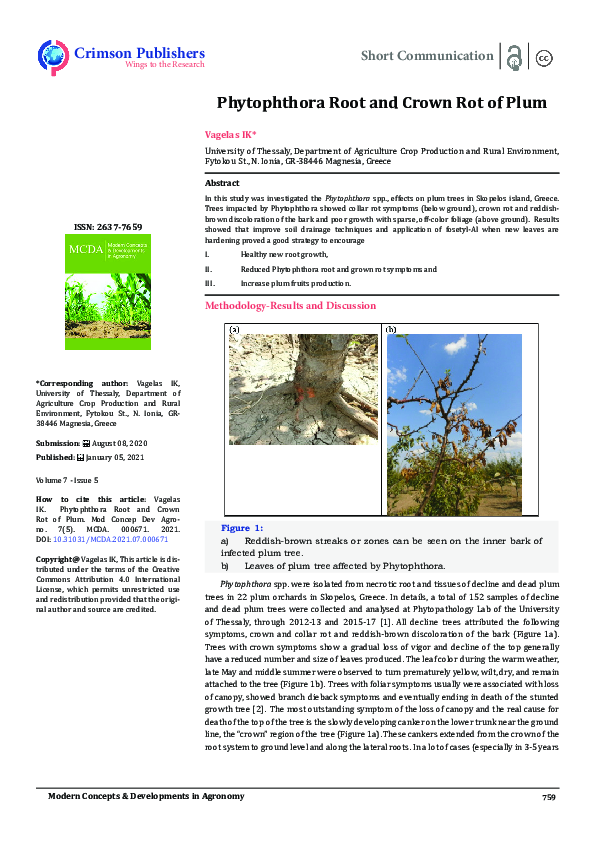 Pdf Phytophthora Root And Crown Rot Of Plum