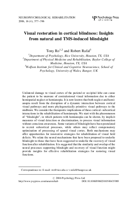 (PDF) Visual restoration in cortical blindness: Insights from natural ...