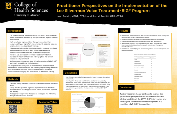 (PDF) Practitioner perspectives on the implementation of the Lee ...