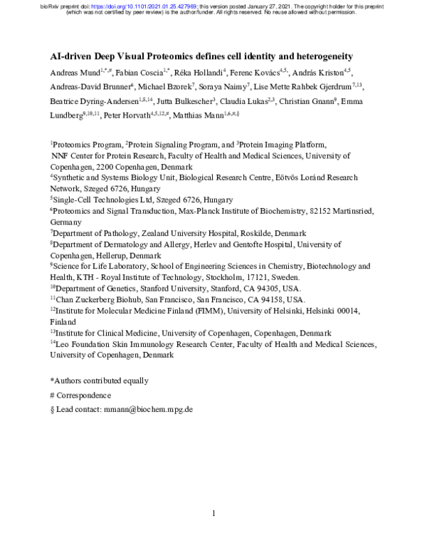 (PDF) AI-driven Deep Visual Proteomics defines cell identity and ...