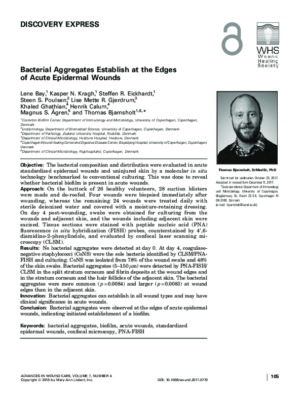 (PDF) Bacterial Aggregates Establish at the Edges of Acute Epidermal Wounds
