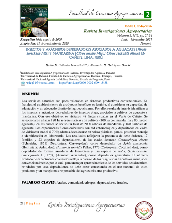 (PDF) Insectos y arácnidos depredadores asociados a aguacate (Persea ...