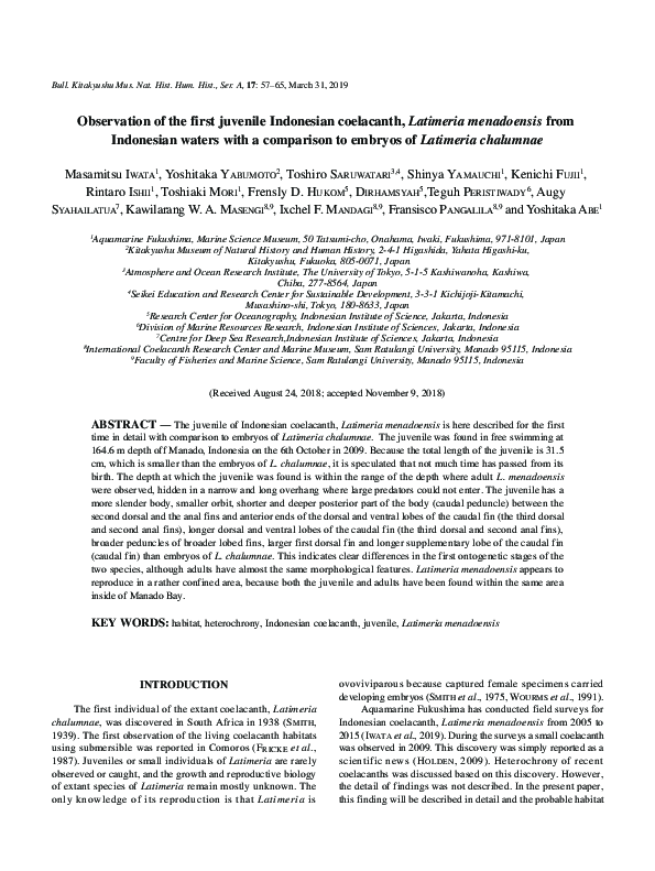 (PDF) Observation of the first juvenile Indonesian coelacanth, Latimeria menadoensis from ...
