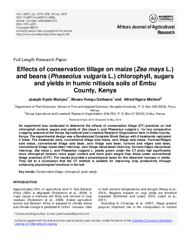 (PDF) Effects of conservation tillage on maize (Zea mays L.) and beans ...
