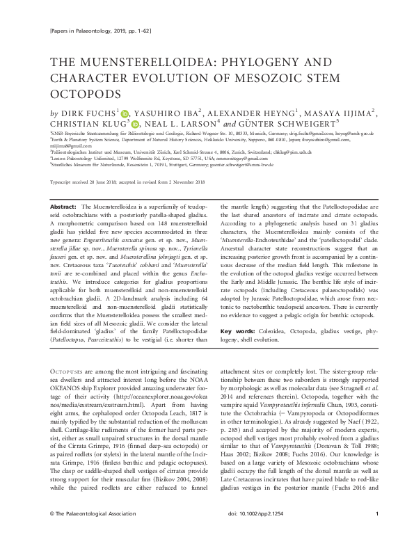 (PDF) The Muensterelloidea: phylogeny and character evolution of ...