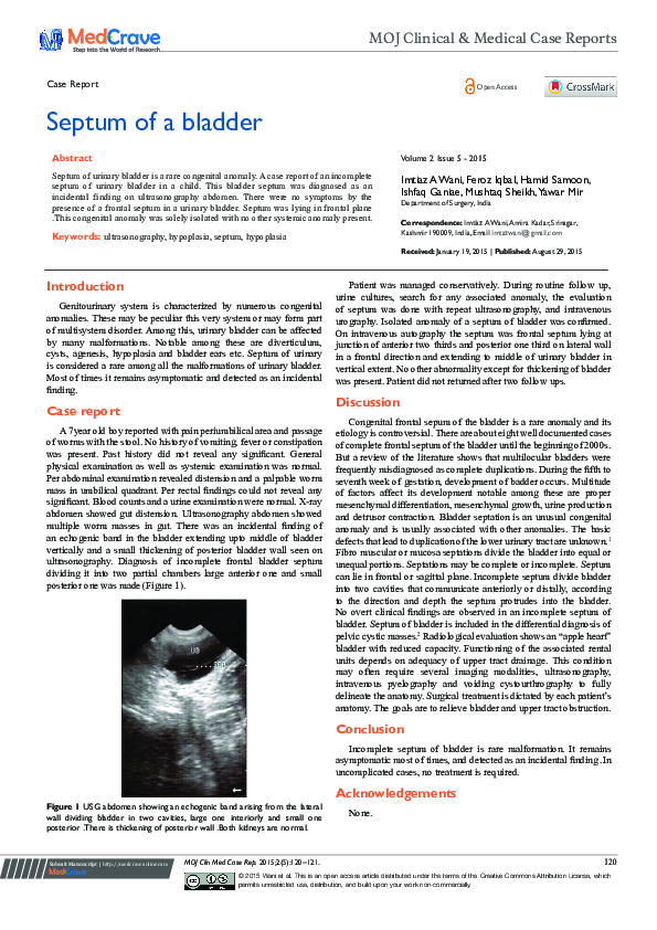 (PDF) Septum of a Bladder