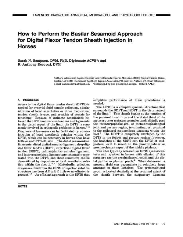 (PDF) How to Perform the Basilar Sesamoid Approach for Digital Flexor ...