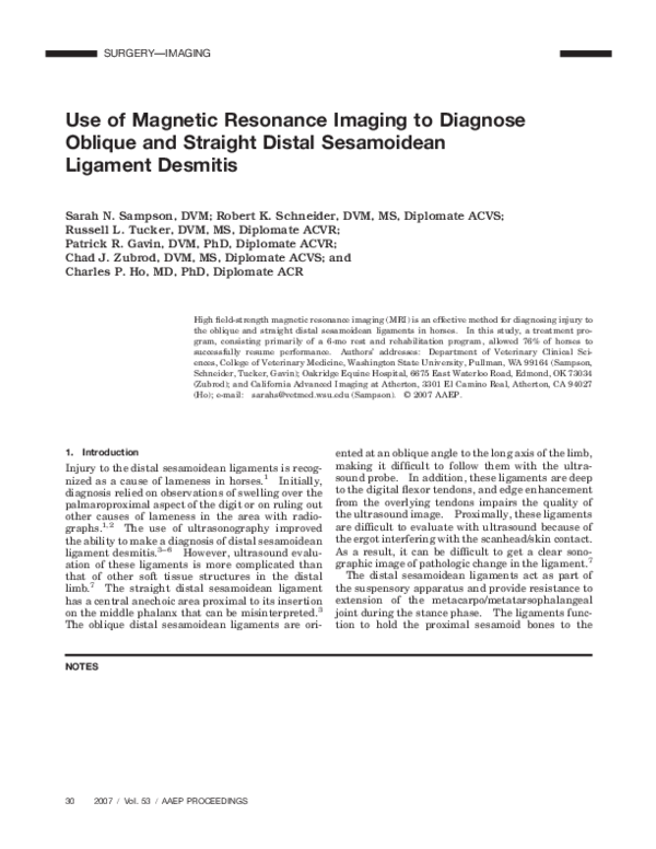 (PDF) Use of magnetic resonance imaging to diagnose oblique and ...