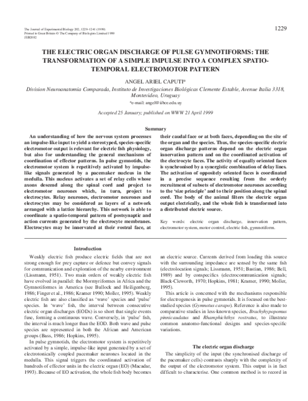 (PDF) The electric organ discharge of pulse gymnotiforms: the transformation of a simple impulse ...